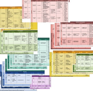 How Trauma Affects the Brain, Human Brain Poster, Brain Anatomy Poster ...