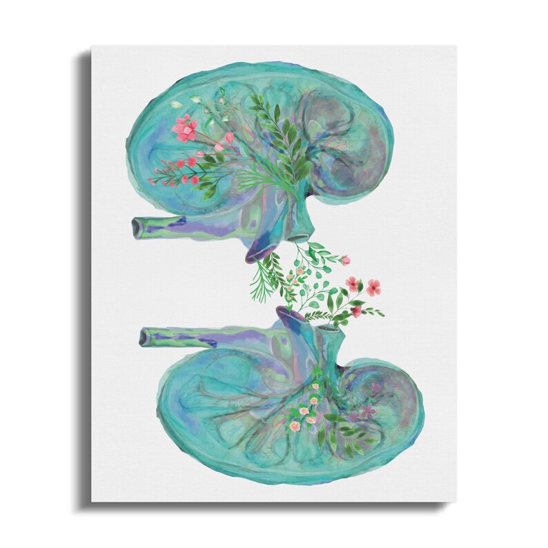 Floral Anatomy Wall Art, Kidney Watercolor Print, Medical Office Decor ...