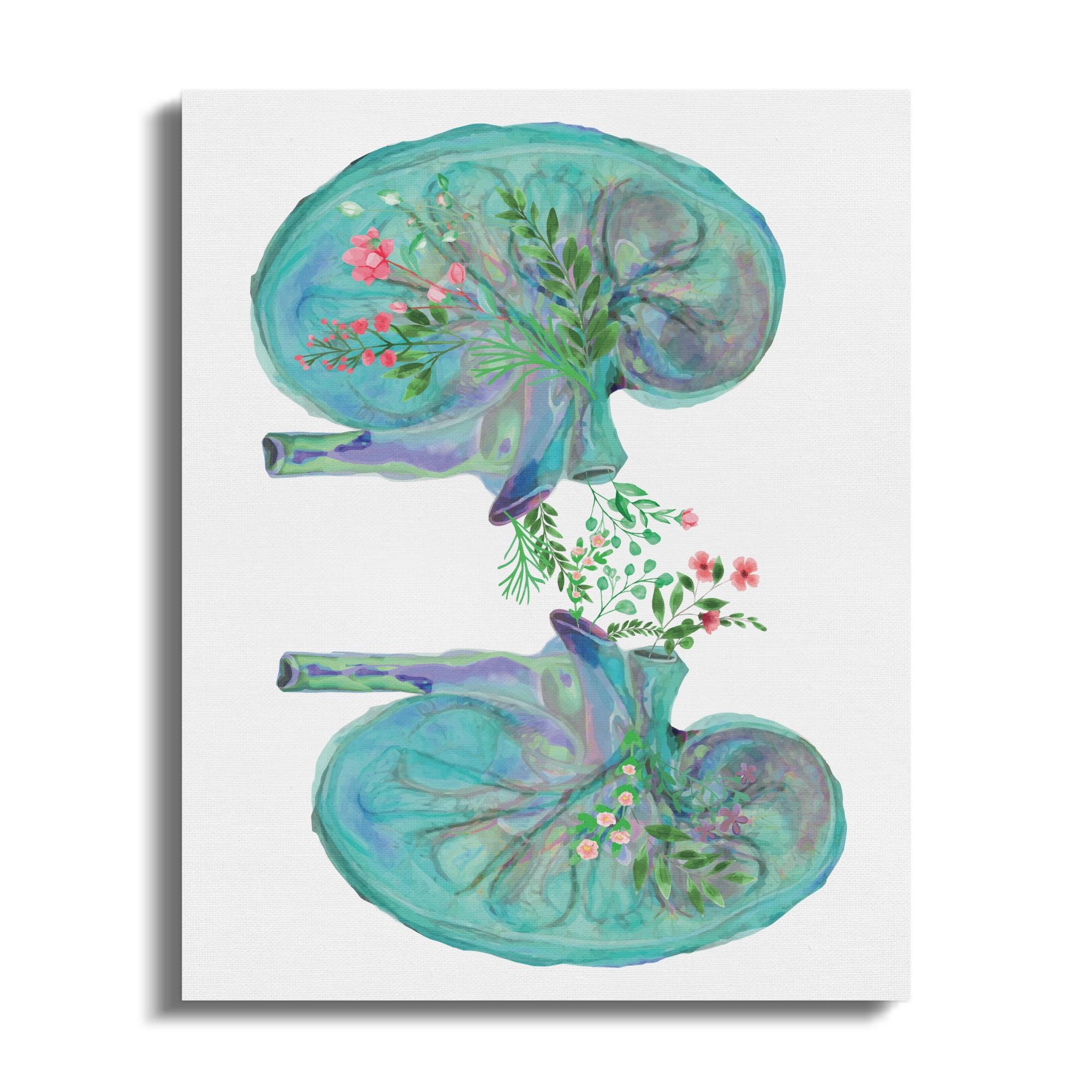 Floral Anatomy Wall Art, Kidney Watercolor Print, Medical Office Decor ...