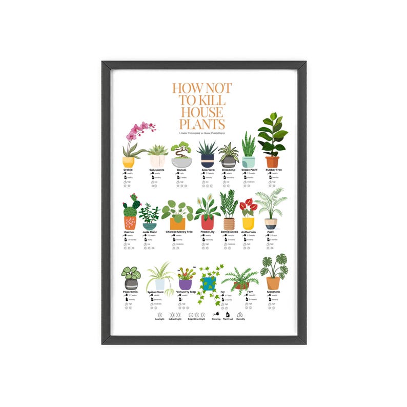 Printable "how Not to Kill 20 House Plants" Digital Download A4 Print ...