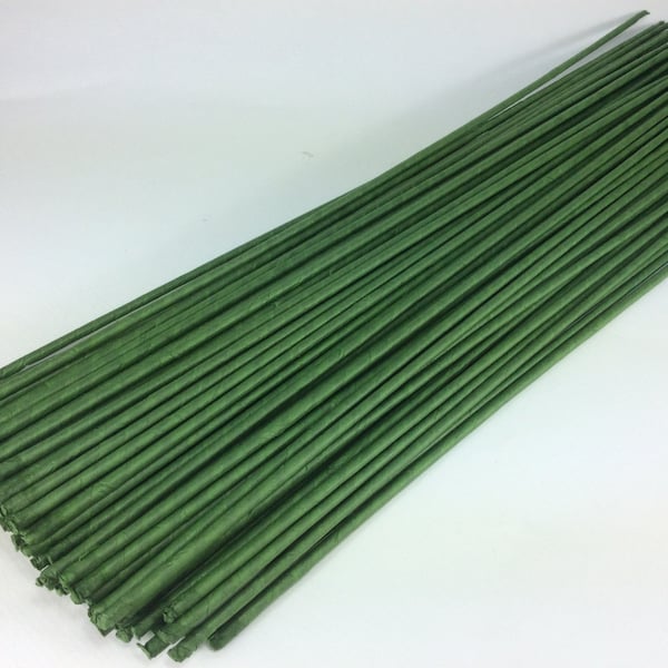 Fake Moss Powder Algae 50 Grams Thallophytic Plant Lichen Green ...