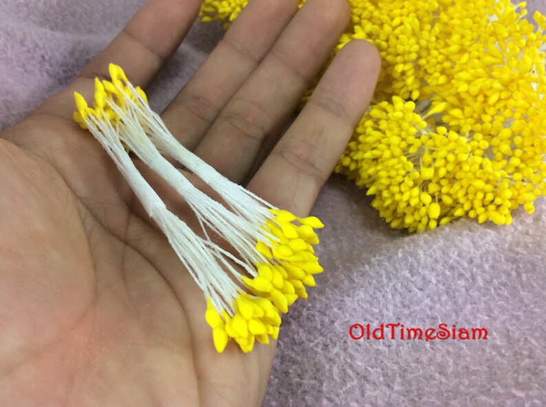 Pollen Orange Yellow Water Drop Head Flower Stamen Pollens Yellow0x - Etsy