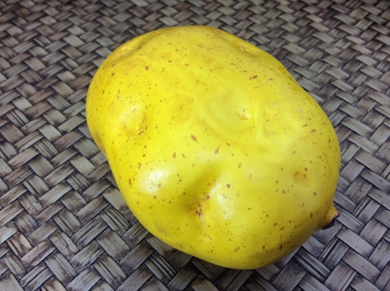 Aardappel Geel Fruit Kunstmatige Levensechte Simulatie Faux | Etsy