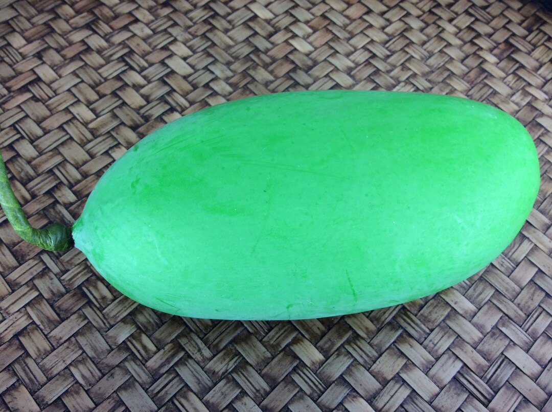 Green Mango Mangoes Artificial Lifelike Simulation Faux Fake Fruit - Etsy