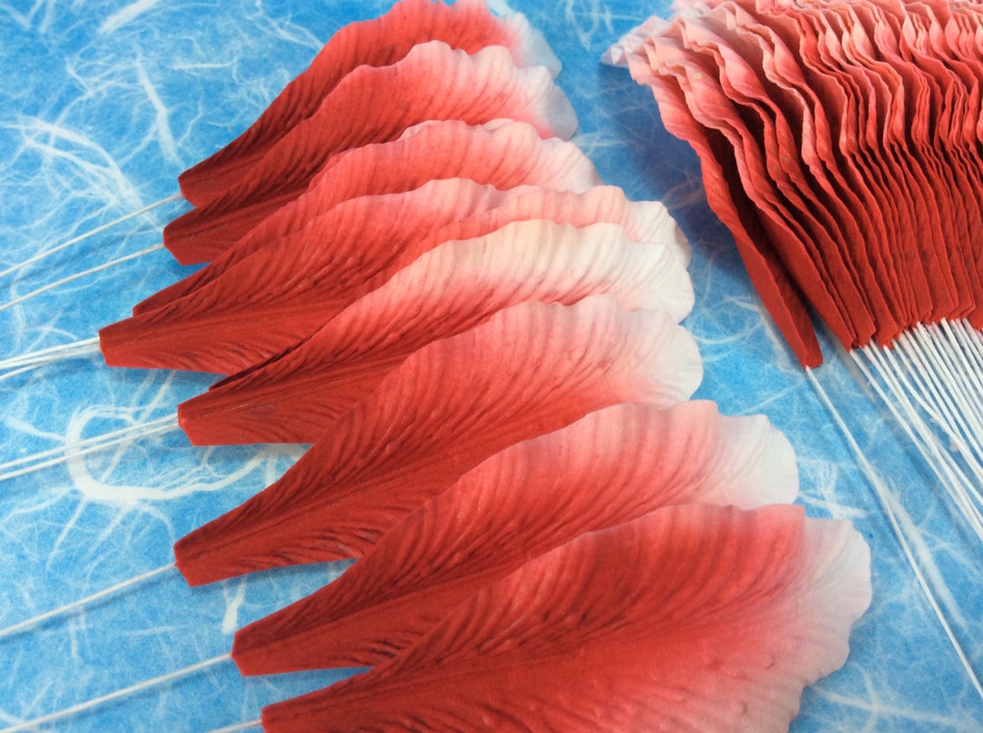 Supply 50 Pcs Size S Red White Lily Lilly Flower Floral Petals - Etsy