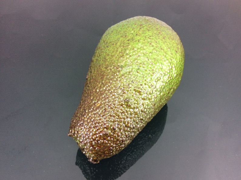 Avocado Fake Fruit Faux Vegetables Decor Children Teaching - Etsy