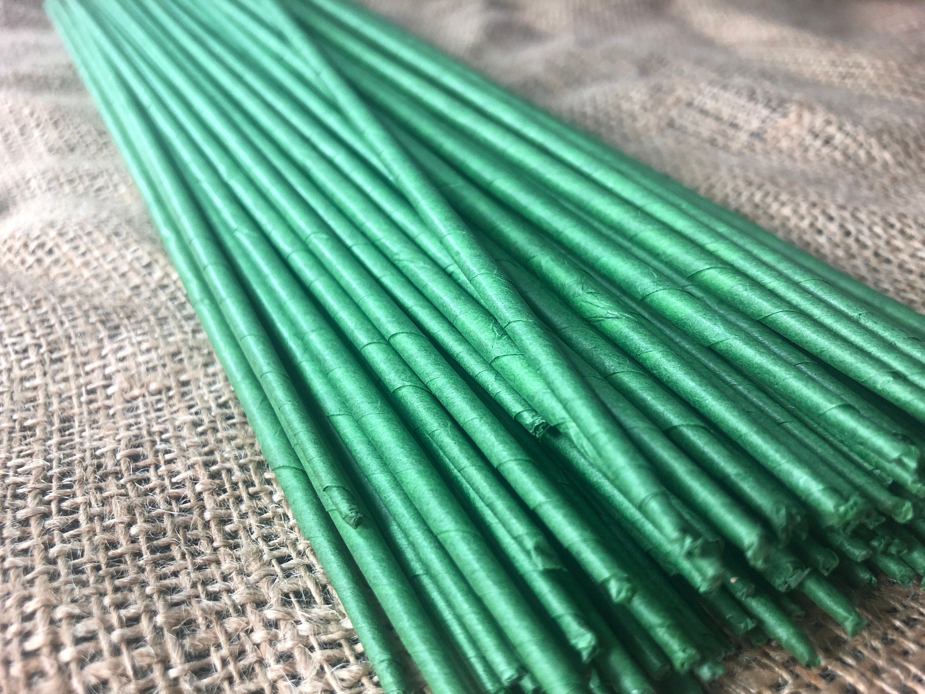 Gauge 16x14 Large Green 25pcs Floral stem wire paper wrapped artificial ...