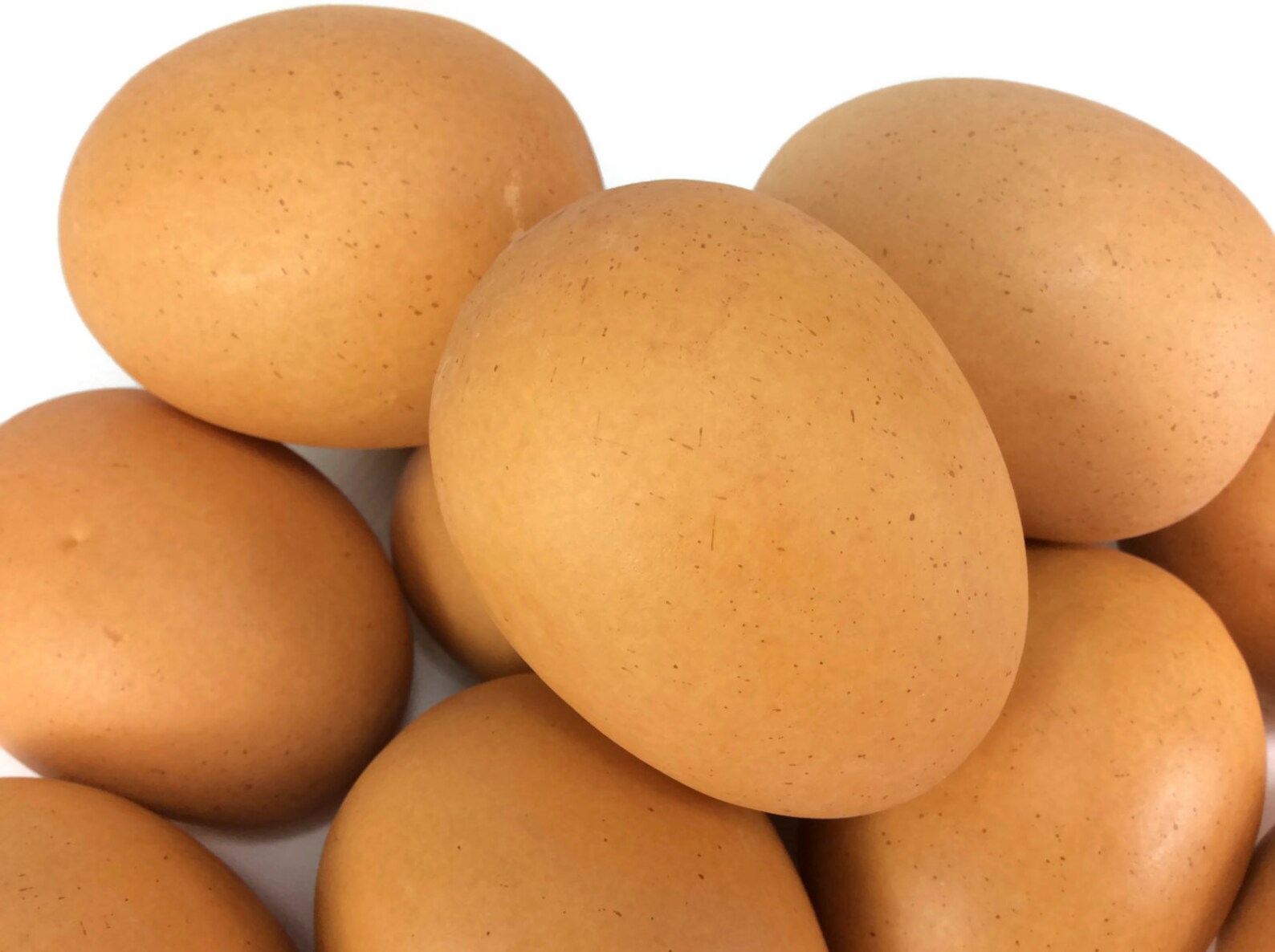 Egg Artificial Lifelike Simulation Faux Fake Chicken Egg 12 Pieces - Etsy