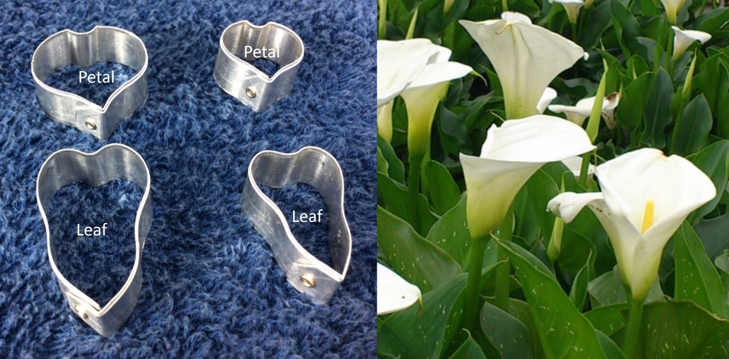 Cutter Calla Lily Lilly Orchid Flower Petal Leaf Set Leaves Mold Floral ...