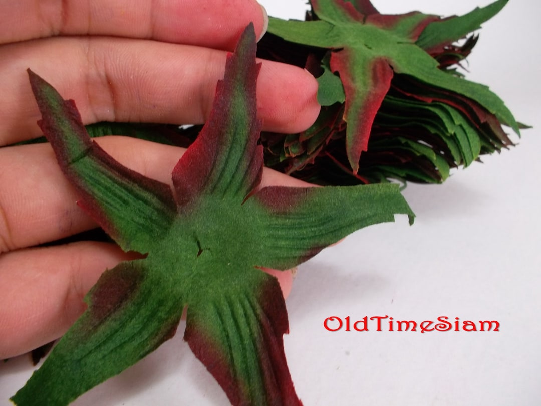 Supply 100 Sepals Petal Size 3.50 Inch Fabric Green Brown Torus Sepal ...