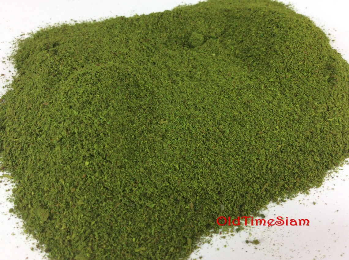 Fake Moss Powder Algae 50 Grams Thallophytic Plant Lichen Green ...