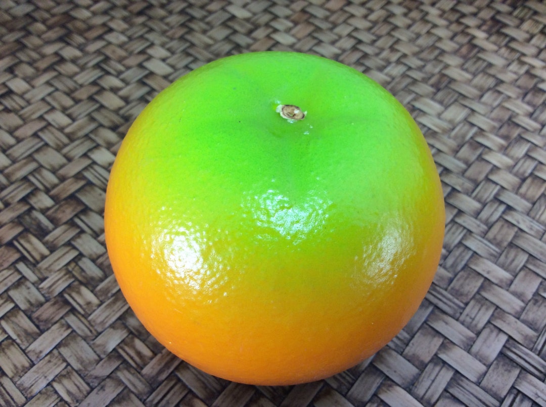 Orange Green-yellow Fruit Artificial Lifelike Simulation Faux Fake ...
