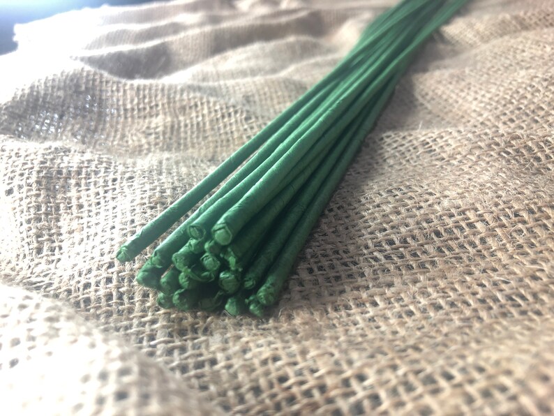 20 Stems Large Long Big Length 30 X 3 Mm Floral Wire Flower Stem ...