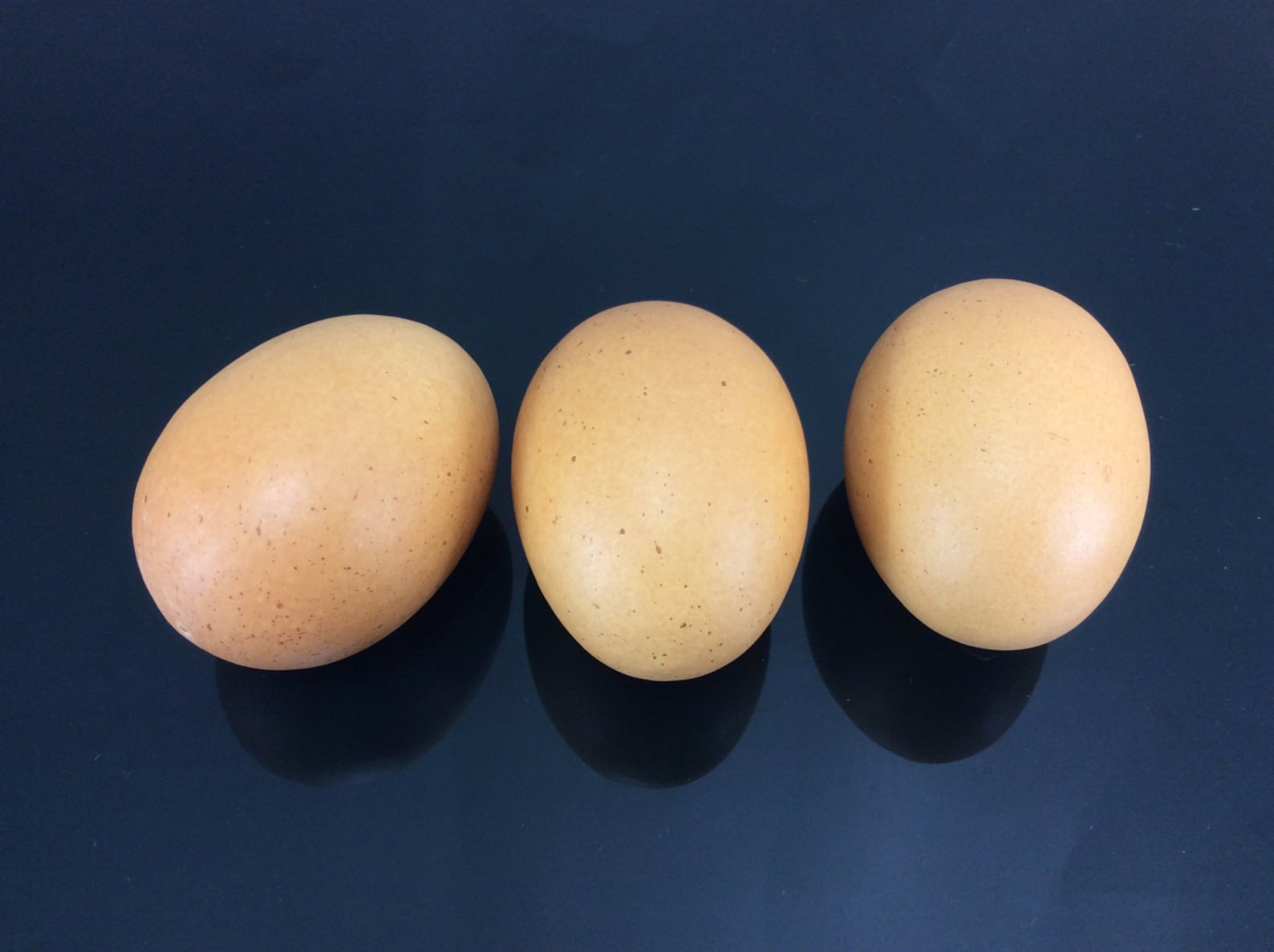 Egg Artificial Lifelike Simulation Faux Fake Chicken Egg 3 Pieces - Etsy