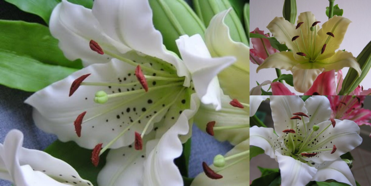 Cutter Lily Lilly Large Flower Petal Leaf Set Leaves Mold Floral Fleur ...