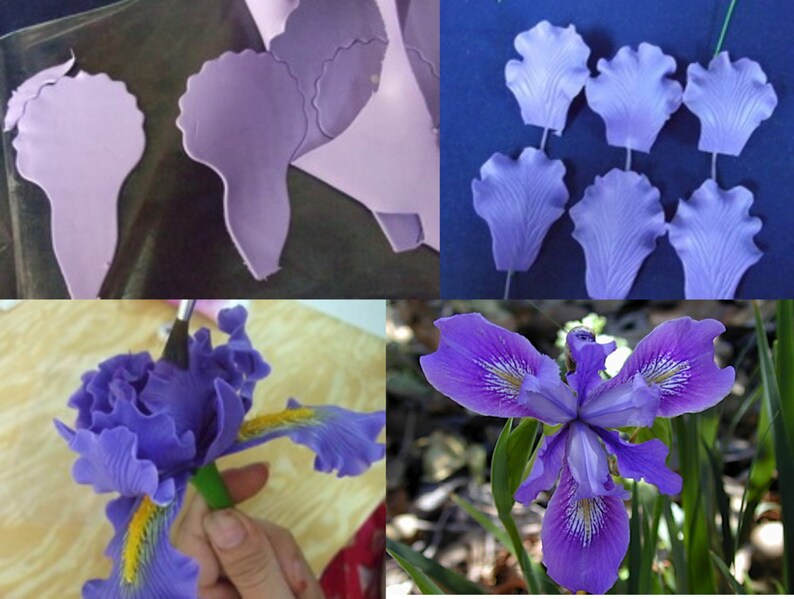 Cutter Iris Flower Petal Leaf Set Leaves Mold Floral Fleur - Etsy