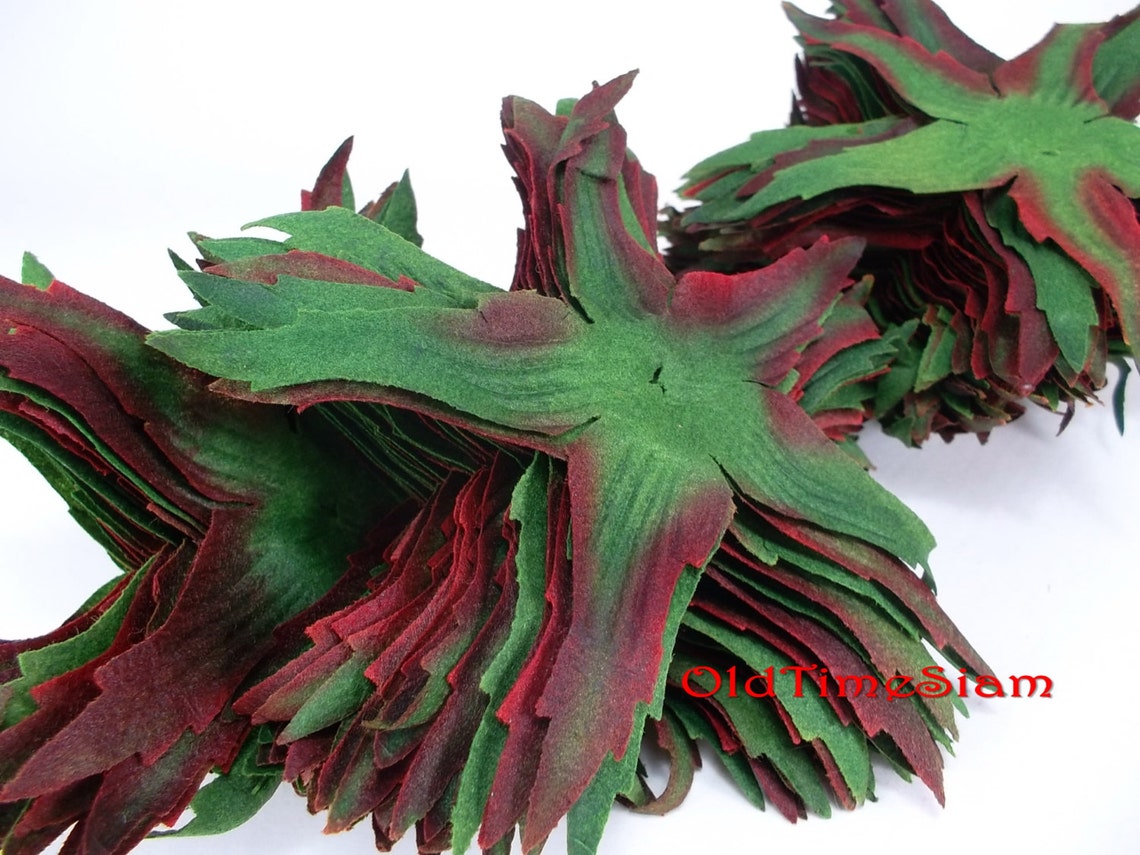 Supply 100 Sepals Petal Size 3.50 Inch Fabric Green Brown Torus Sepal ...