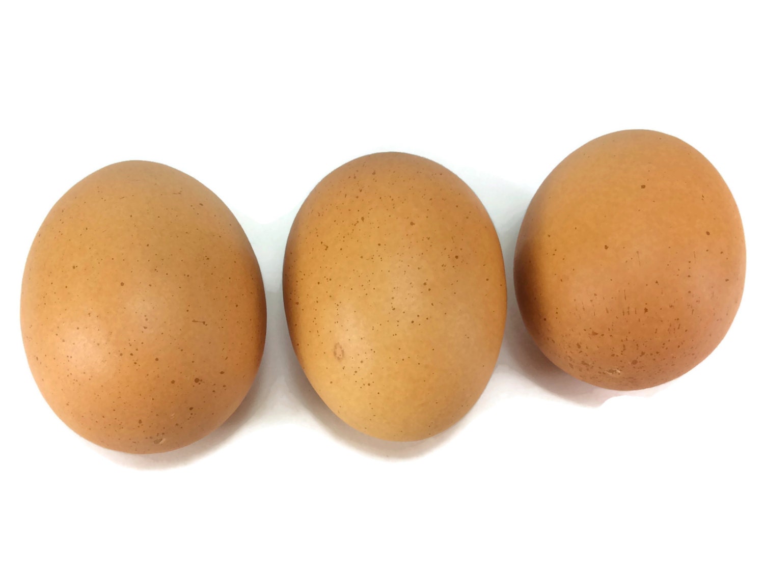 Egg Artificial Lifelike Simulation Faux Fake Chicken Egg 3 Pieces - Etsy