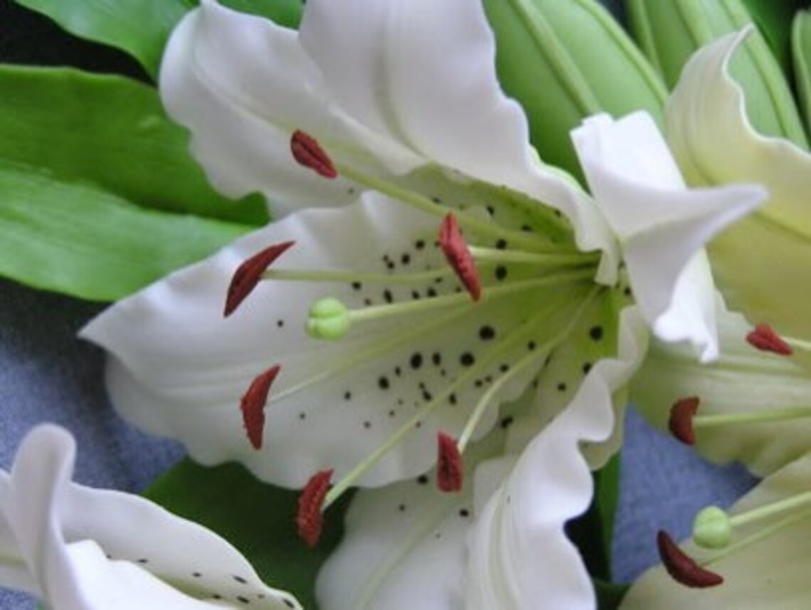 Mold Lily Lilly Flower Floral Petals Resin Clay Making Floral Vein ...