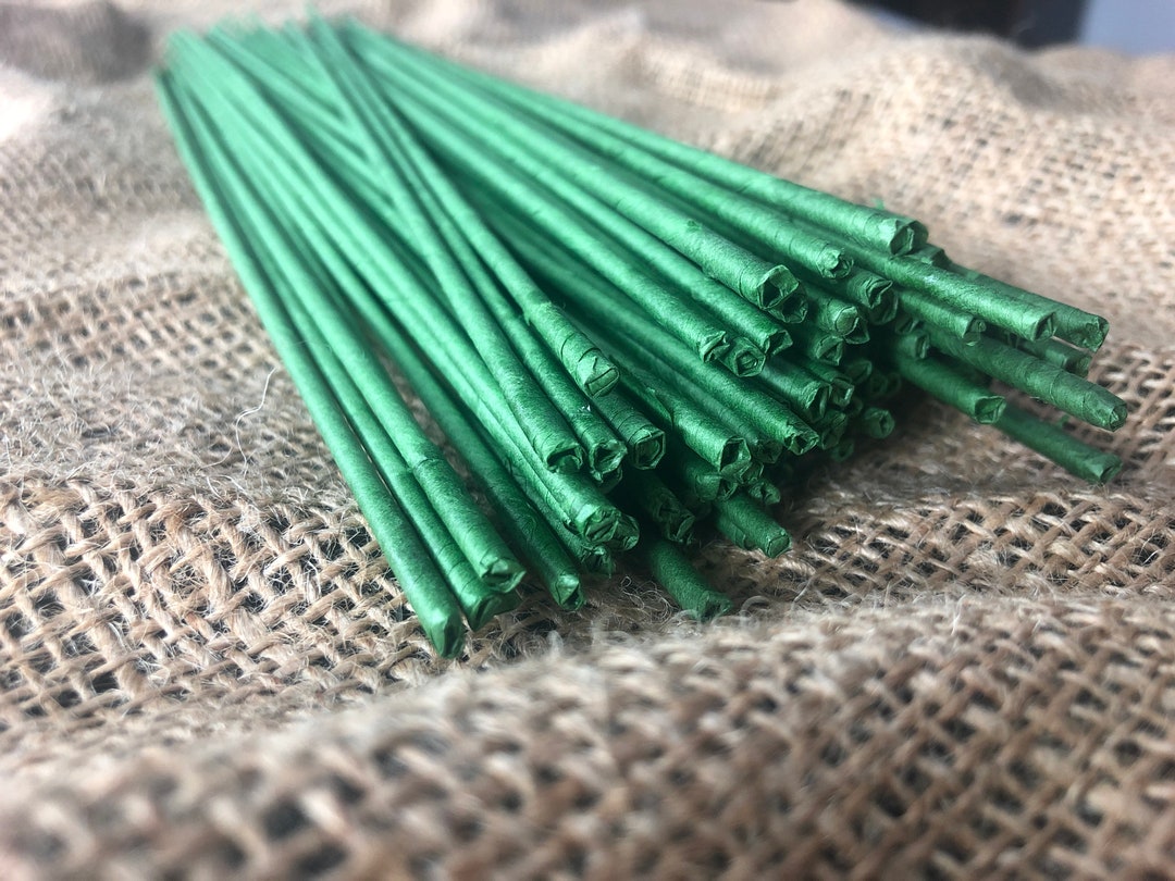100 Stems Large Long Big Length 12" X 3 Mm Floral Wire Flower Stem ...