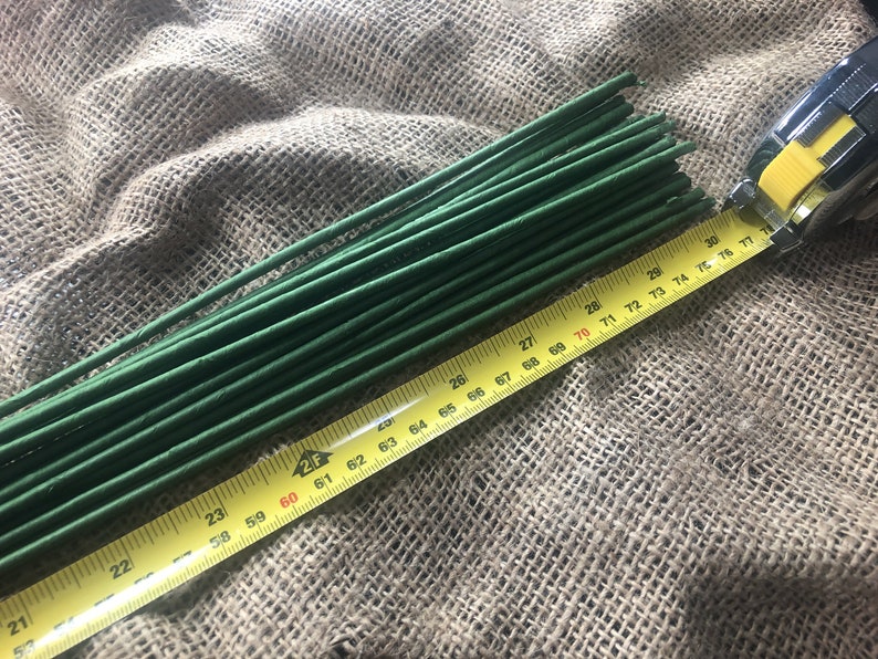 20 Stems Large Long Big Length 30" X 3 Mm Floral Wire Flower Stem ...