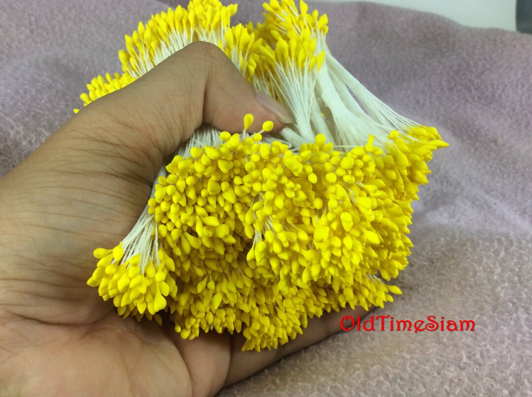 Pollen Orange Yellow Water Drop Head Flower Stamen Pollens Yellow0x - Etsy