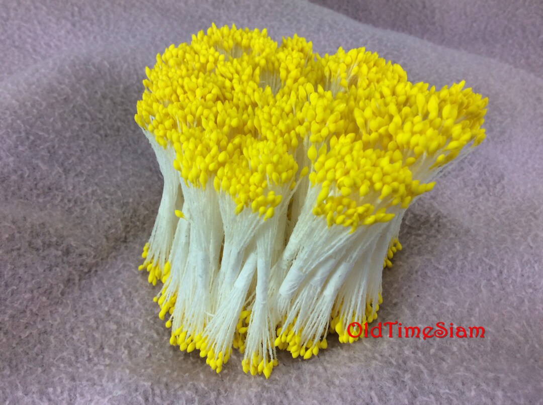 Pollen Yellow Water Drop Head Flower Stamen Pollens 4800 Heads 2400 Pcs ...