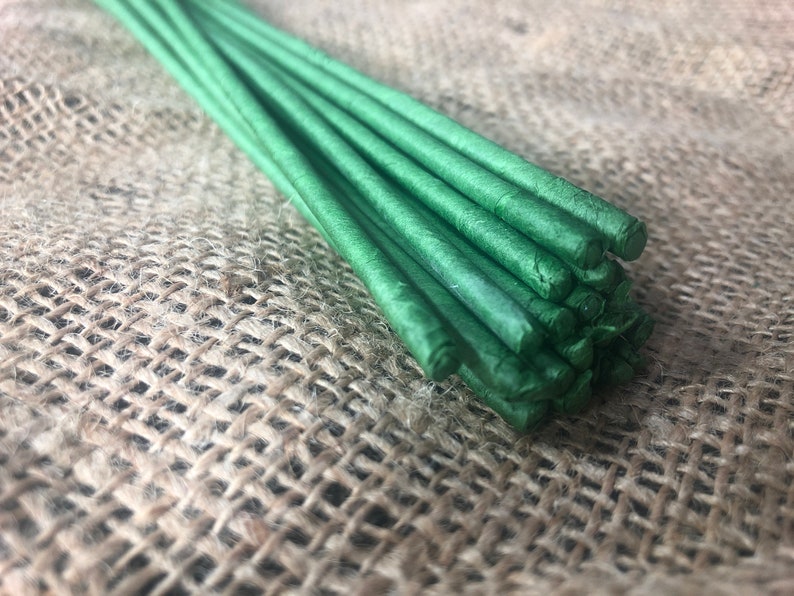 20 Stems Large Long Big Length 30" X 3 Mm Floral Wire Flower Stem ...