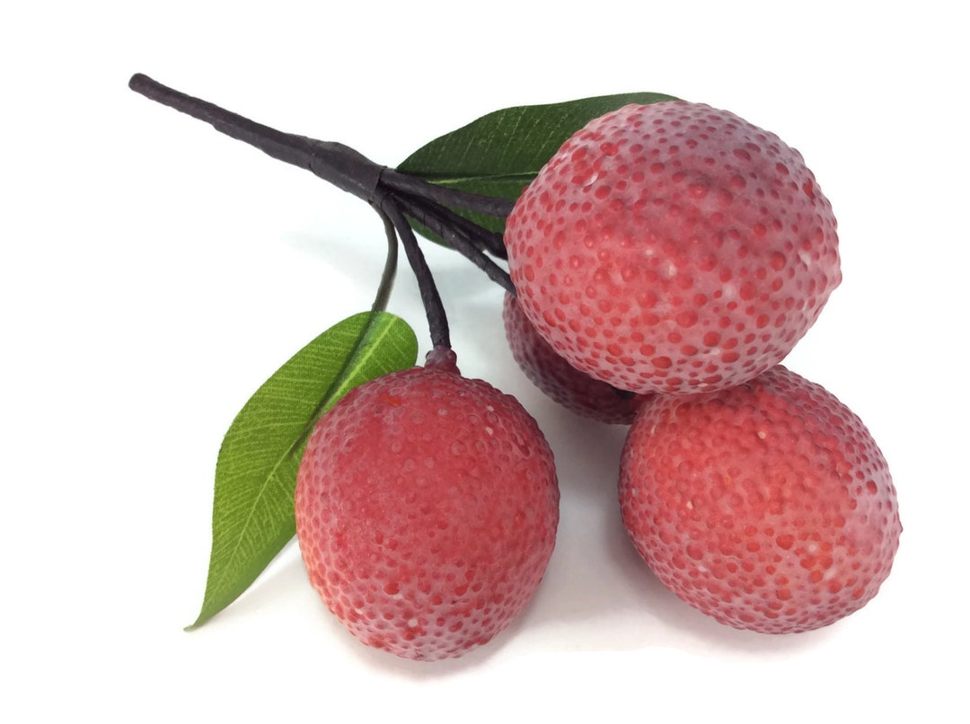 Lychee Artificial Lifelike Simulation Leaves Faux Fake Fruit - Etsy