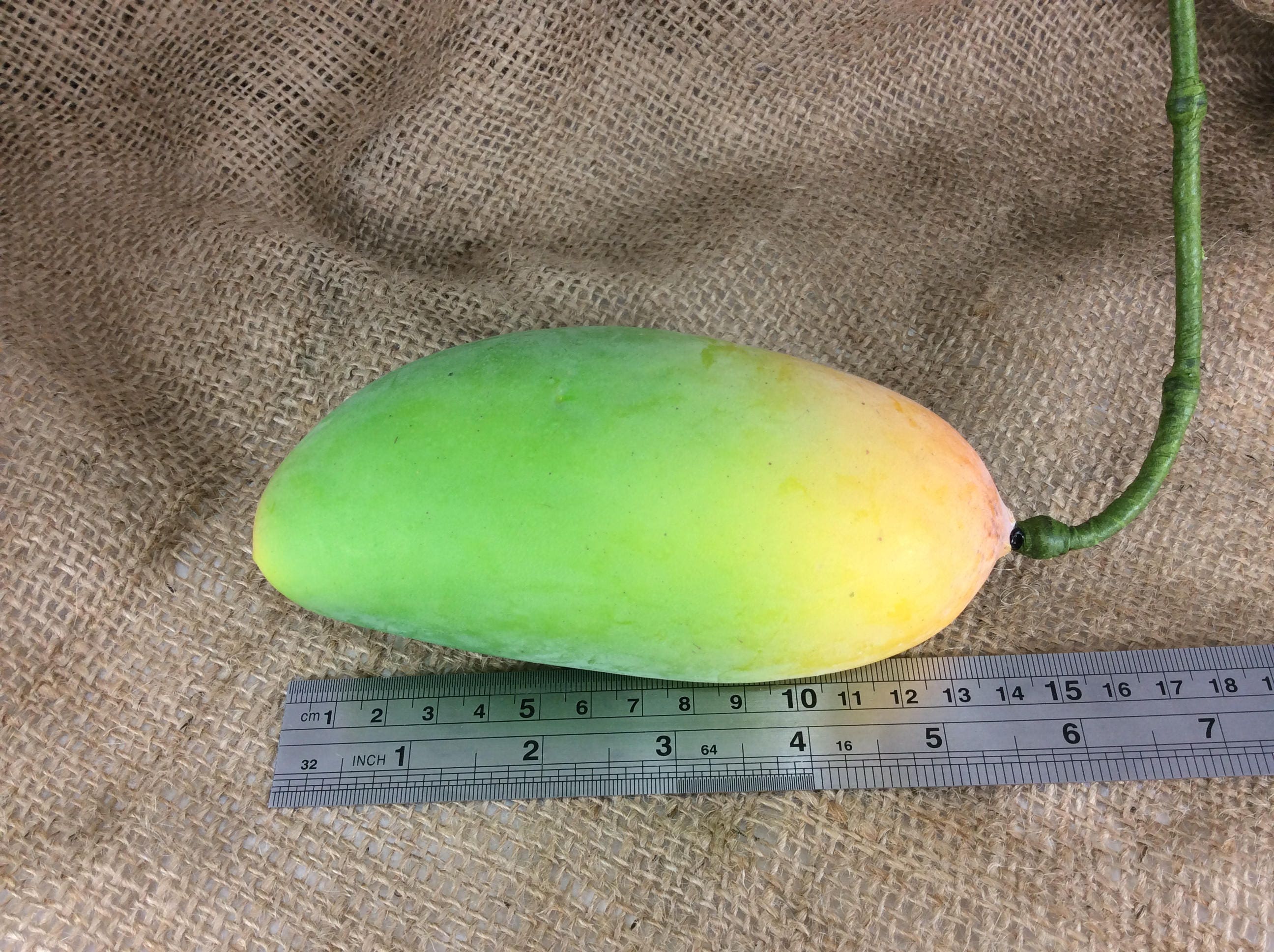 Yellow Green Mango Mangoes Artificial Fruit Lifelike Simulation Faux ...