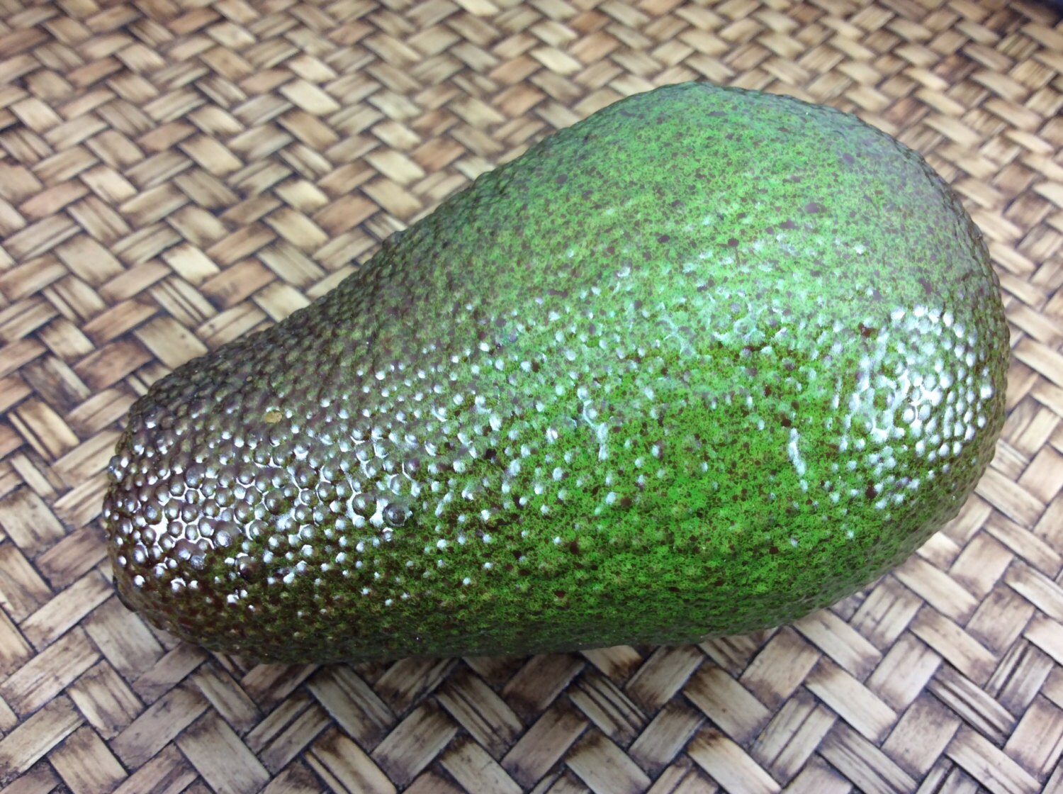 Avocado Fake Fruit Faux Vegetables Decor Children Teaching - Etsy