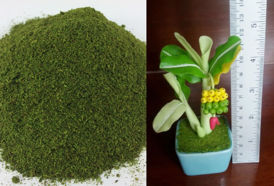 Fake Moss Powder Algae 50 Grams Thallophytic Plant Lichen Green ...