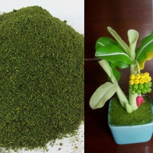 Fake Moss Powder Algae 50 Grams Thallophytic Plant Lichen Green ...