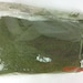 Fake Moss Powder Algae 50 Grams Thallophytic Plant Lichen Green ...
