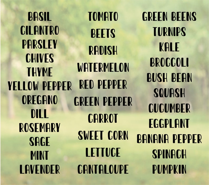 Handwritten Font Garden Marker Labels SVG PNG Vegetables Fruit Herbs ...