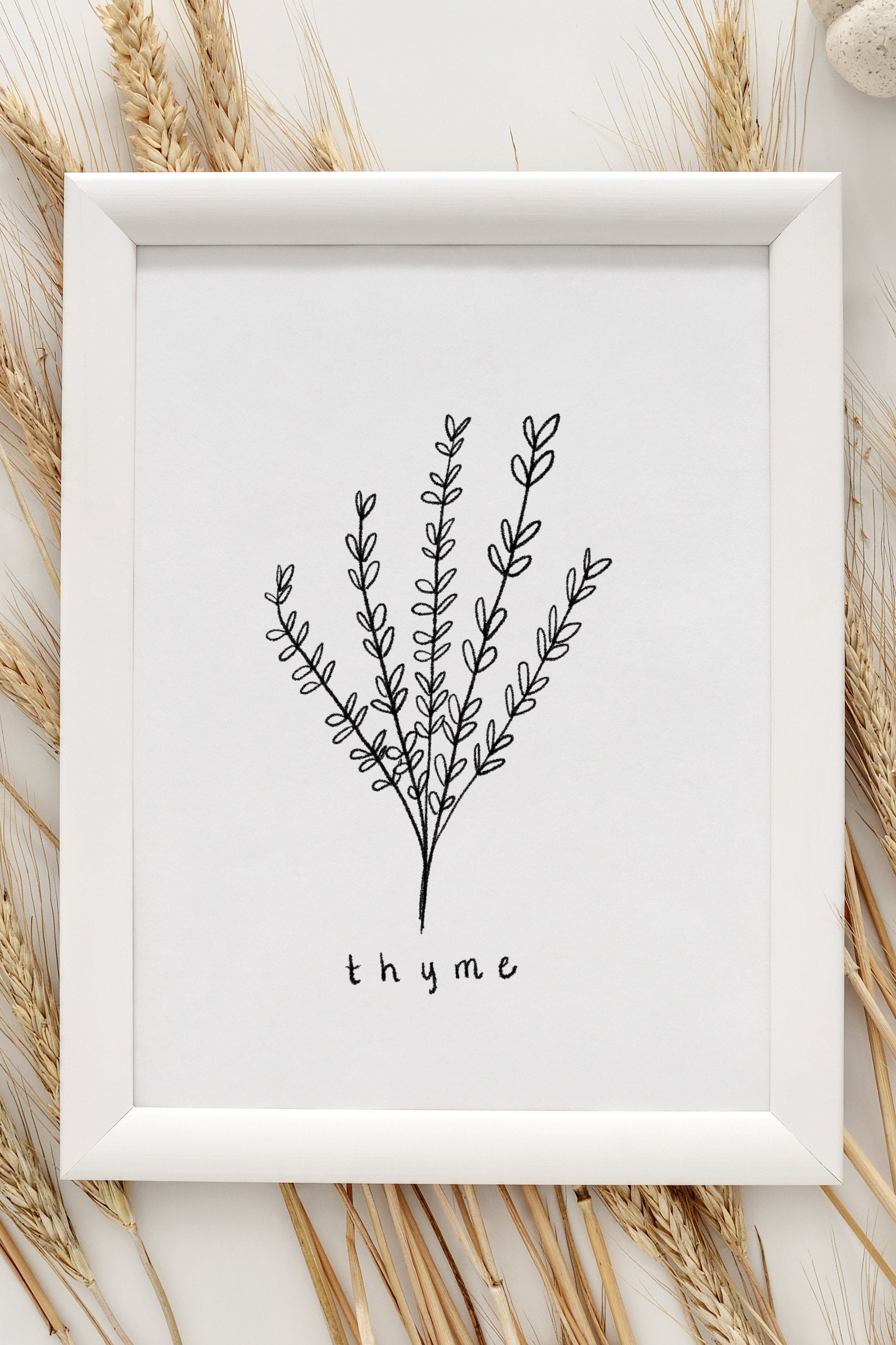 Thyme Line Drawing-digital DOWNLOAD - Etsy