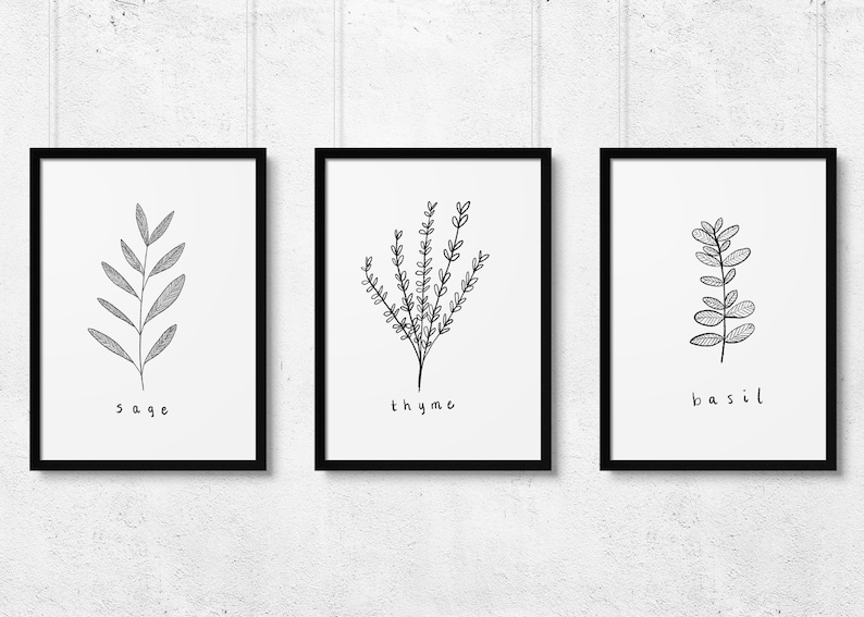 Thyme Line Drawing-digital DOWNLOAD - Etsy