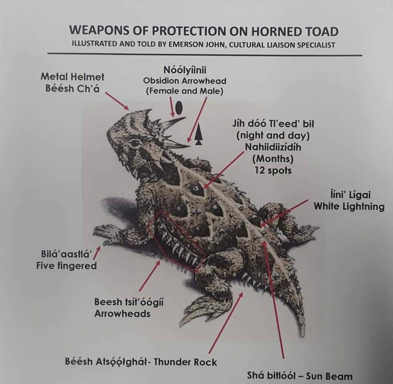 Sterling Silver Horned Toad Stamped Band Ring Navajo Handmade - Etsy