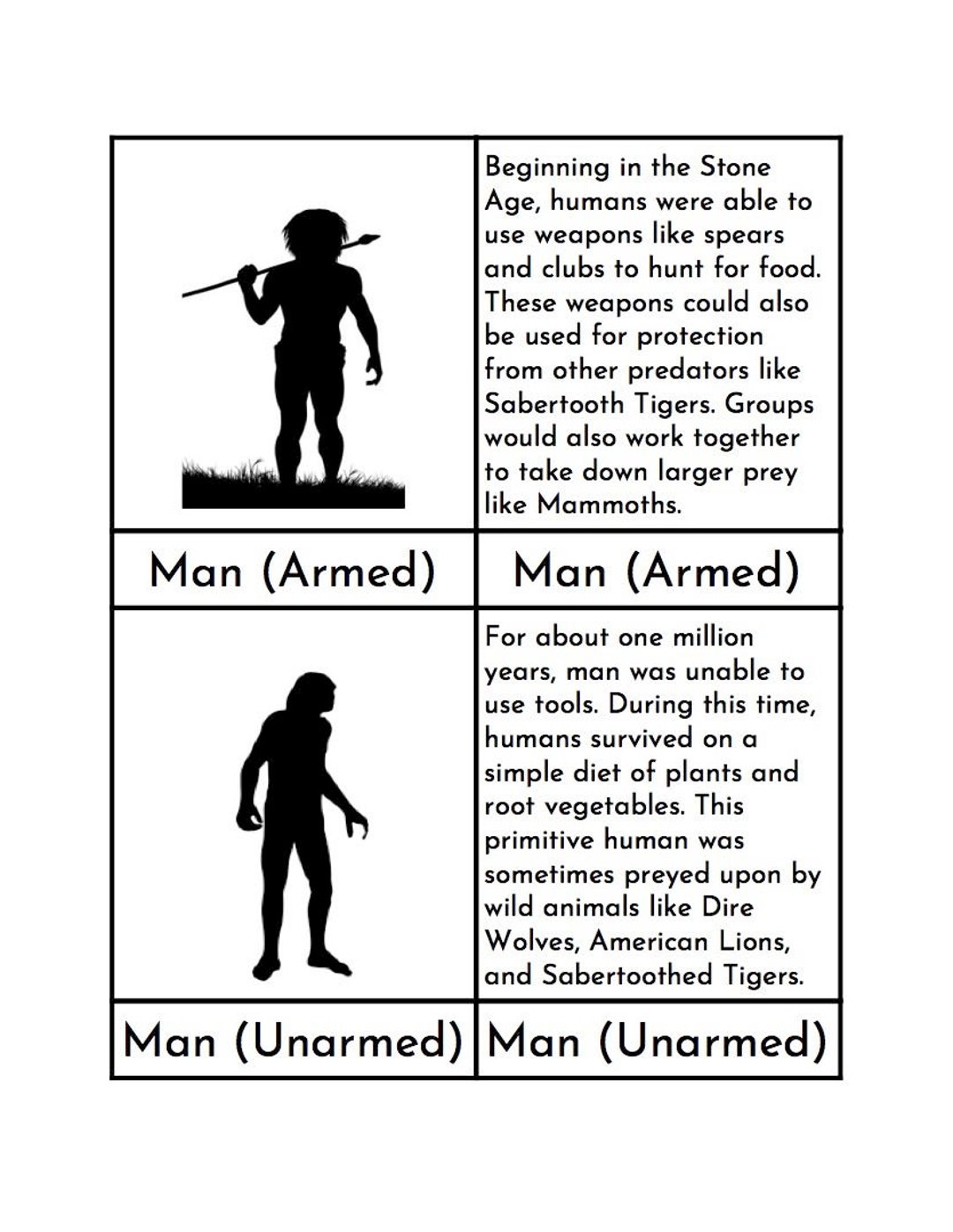 Montessori Prehistoric Food Chain Three/four Part Cards - Etsy