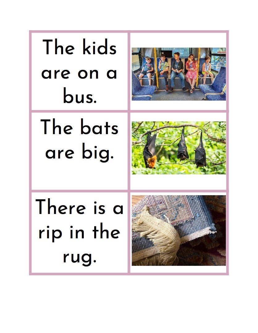 Montessori Pink Language Series Sentence Matching - Etsy