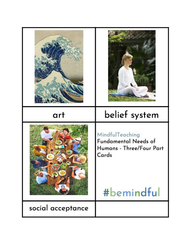 Montessori Fundamental Needs of Humans Three/four Part Cards - Etsy
