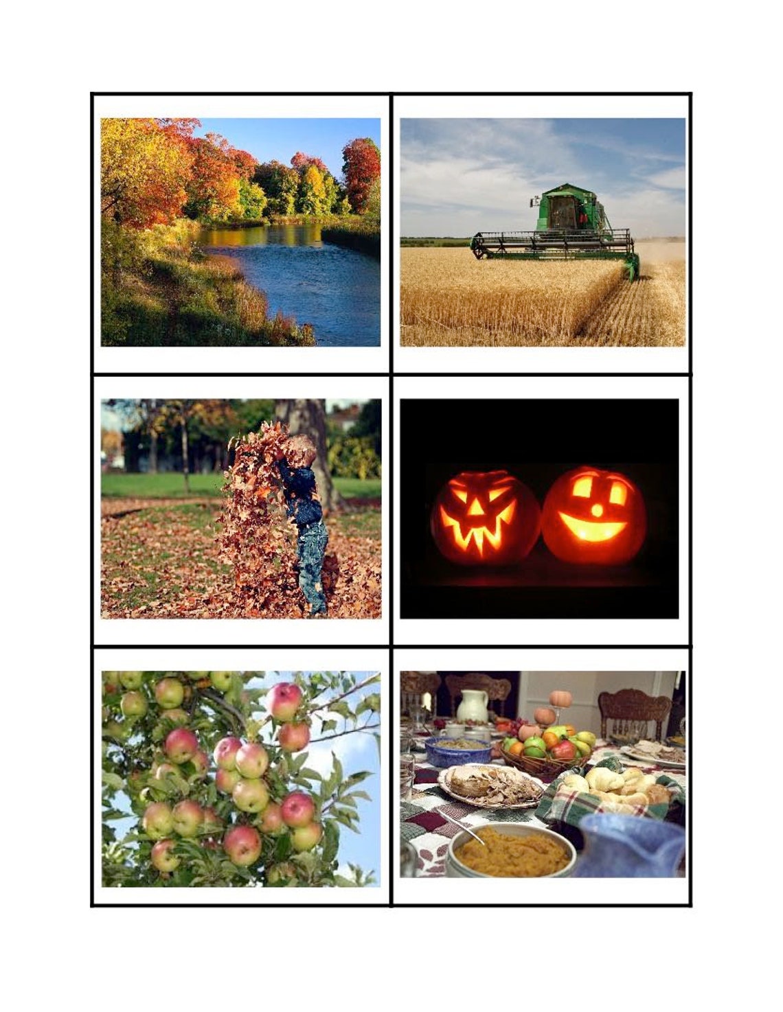 The Four Seasons Montessori Three Part Cards and Sorting Activity - Etsy