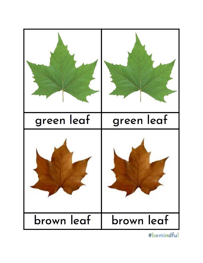 Autumn Leaves Color Matching Three Part Cards - Etsy