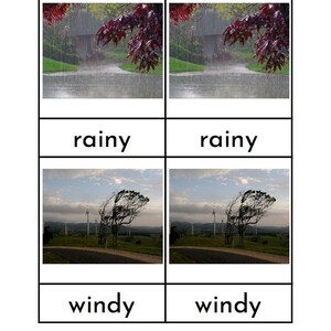 Weather Montessori Three Part Cards - Etsy