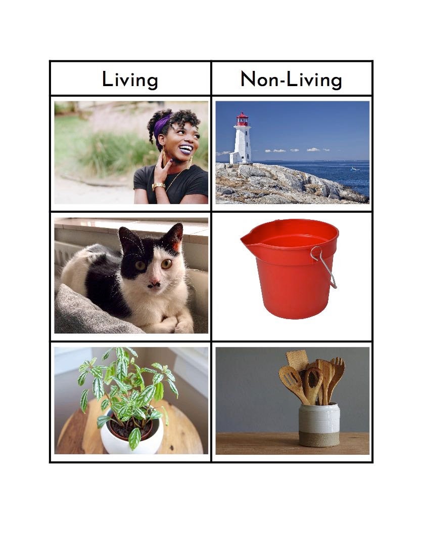 Living and Non-living Sorting Cards - Etsy