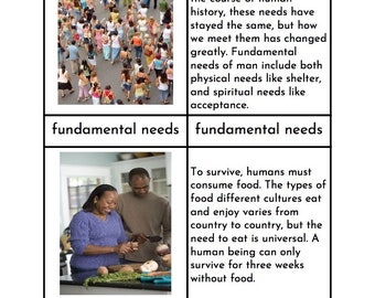 Fundamental Needs of Man Montessori - Etsy