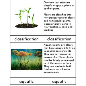Types of Plants Montessori Three Part Cards - Etsy Canada