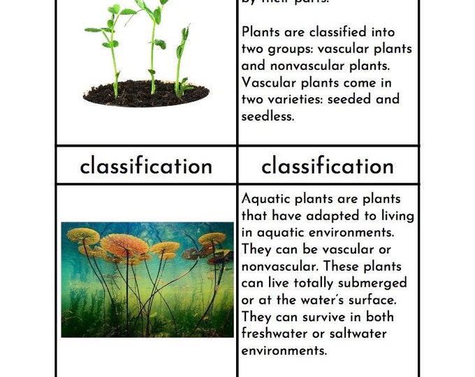 Types of Plants - Montessori Three Part Cards - Etsy