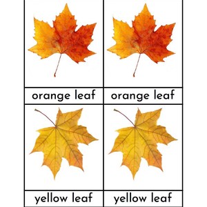 Autumn Leaves Color Matching Three Part Cards - Etsy