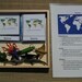 Biome Box Ocean Objects & Three/four Part Cards - Etsy